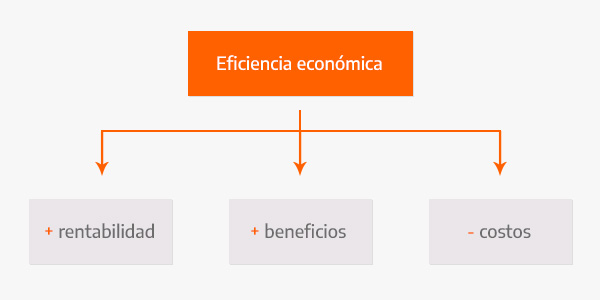 Eficiencia económica : Concepto | 【 2025