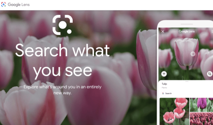 15 Meilleures Alternatives Tineye 2024 – VNUMS