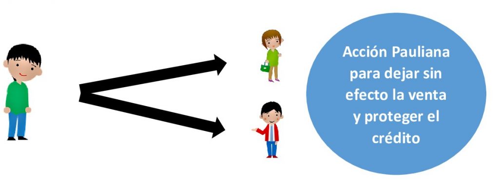 Paulian action | 【 2023