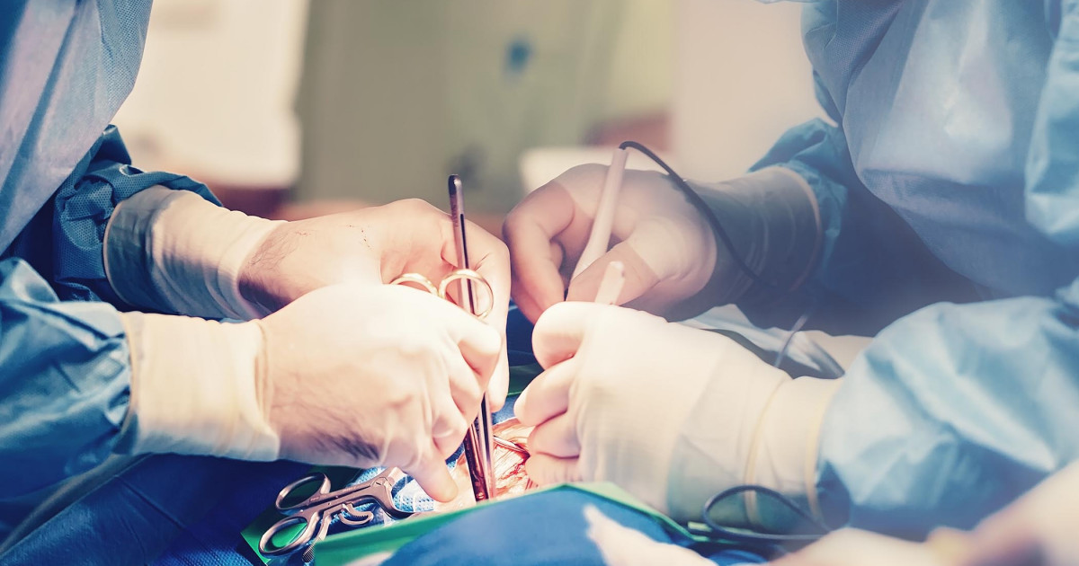 The 5 types of Plastic Surgery (and their characteristics) | 【 2026