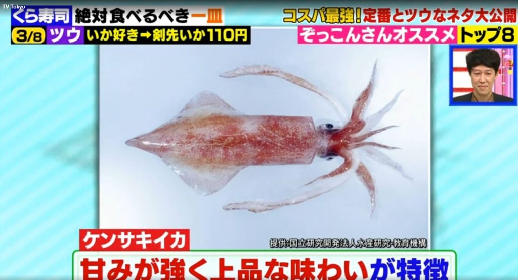 How to watch Japanese TV live; complete guide | 【 2025