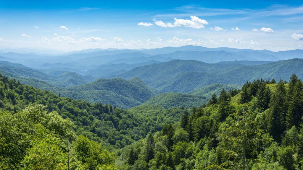 🥇11 hechos sobre las montañas Apalaches 【 2026 】| Enor Cerna