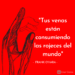 🥇50 frases de color rojo que expresan pasión 【 2025 】| Enor Cerna