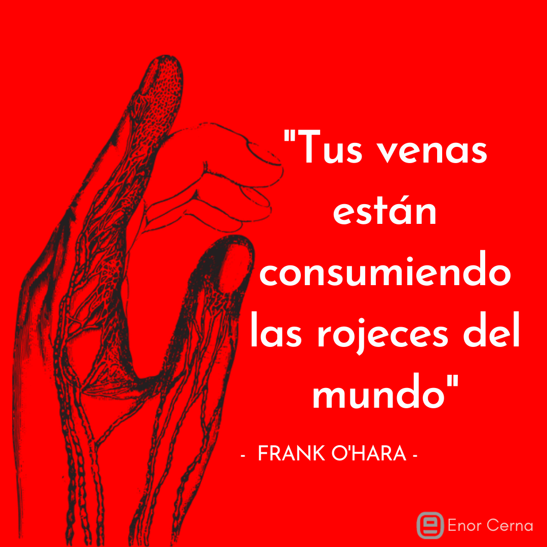 🥇50 frases de color rojo que expresan pasión 【 2025 】| Enor Cerna